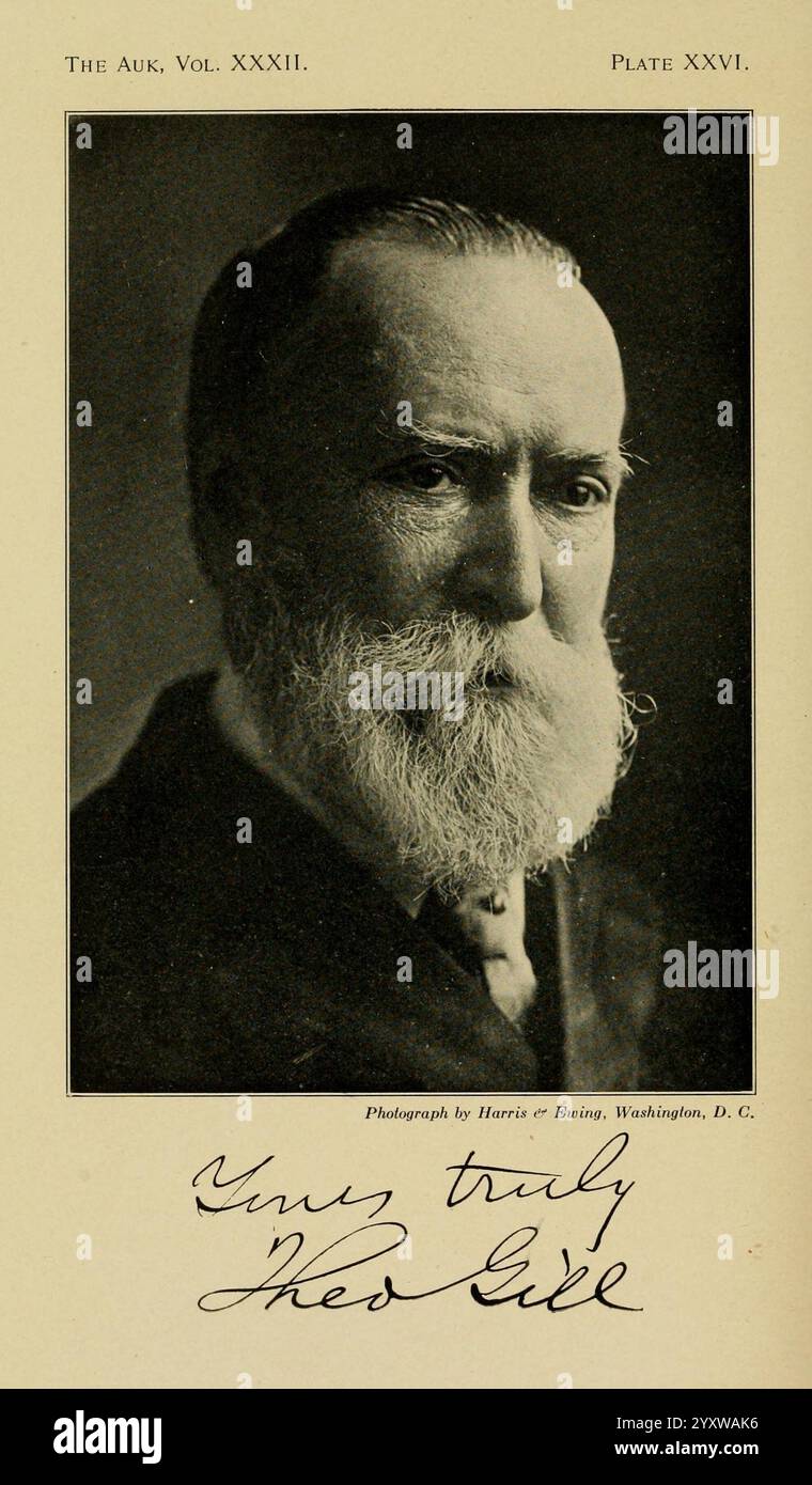 Theodore nicholas gill hi-res stock photography and images - Alamy