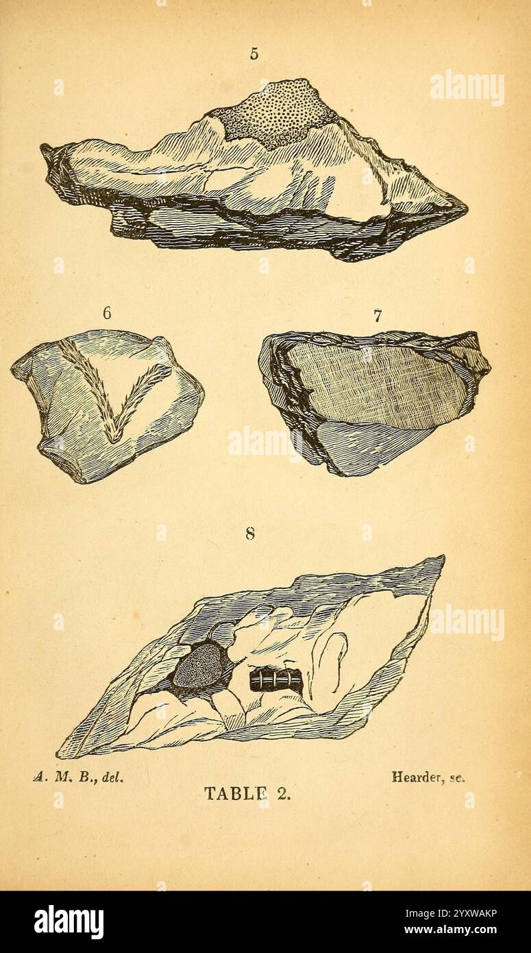 Individual labels denote hi-res stock photography and images - Alamy