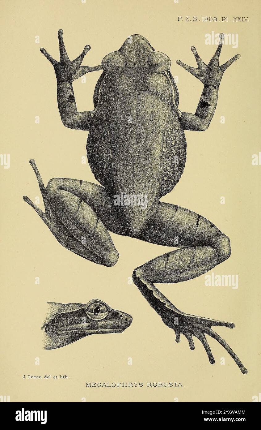 Proceedings of the Zoological Society of London, London, Academic Press ...