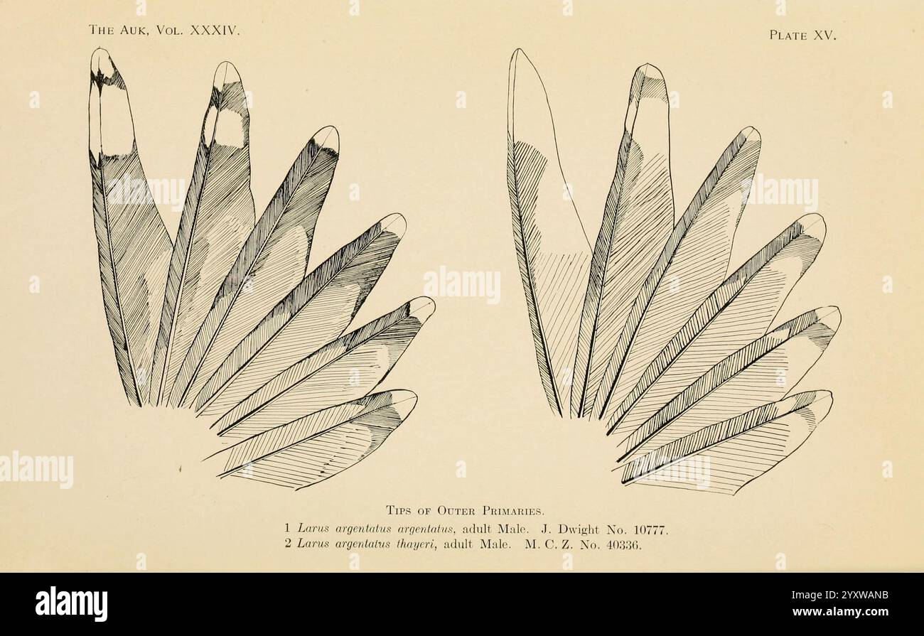 Corresponding technical details hi-res stock photography and images - Alamy