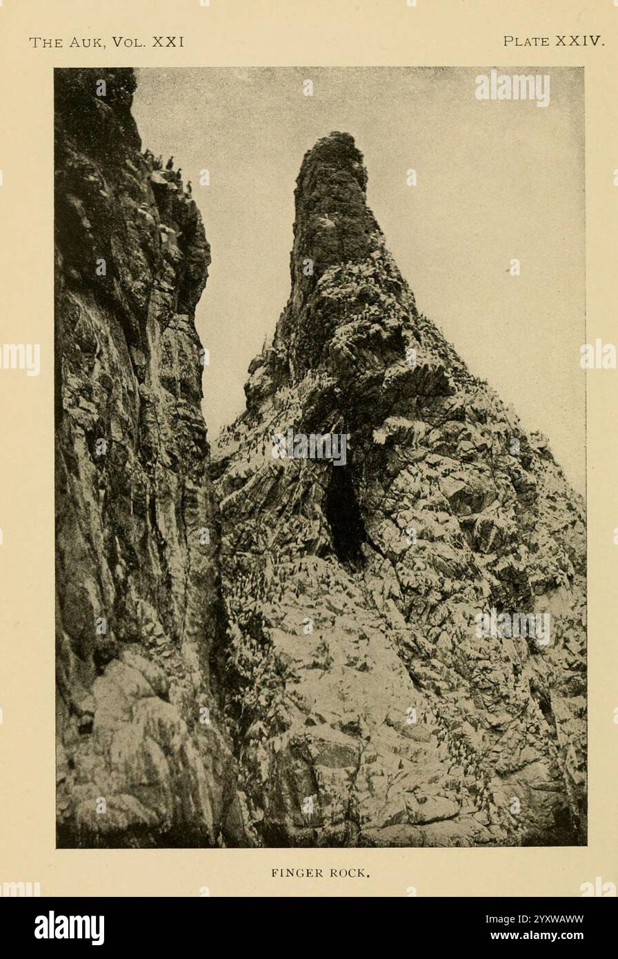 Rock surface reveals hi-res stock photography and images - Alamy