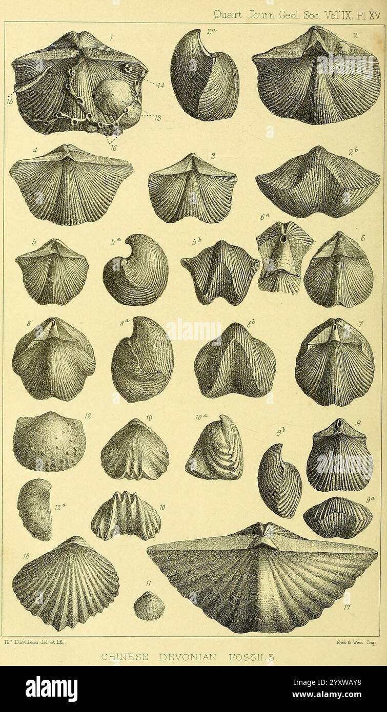 Ancient shell structures hi-res stock photography and images - Alamy