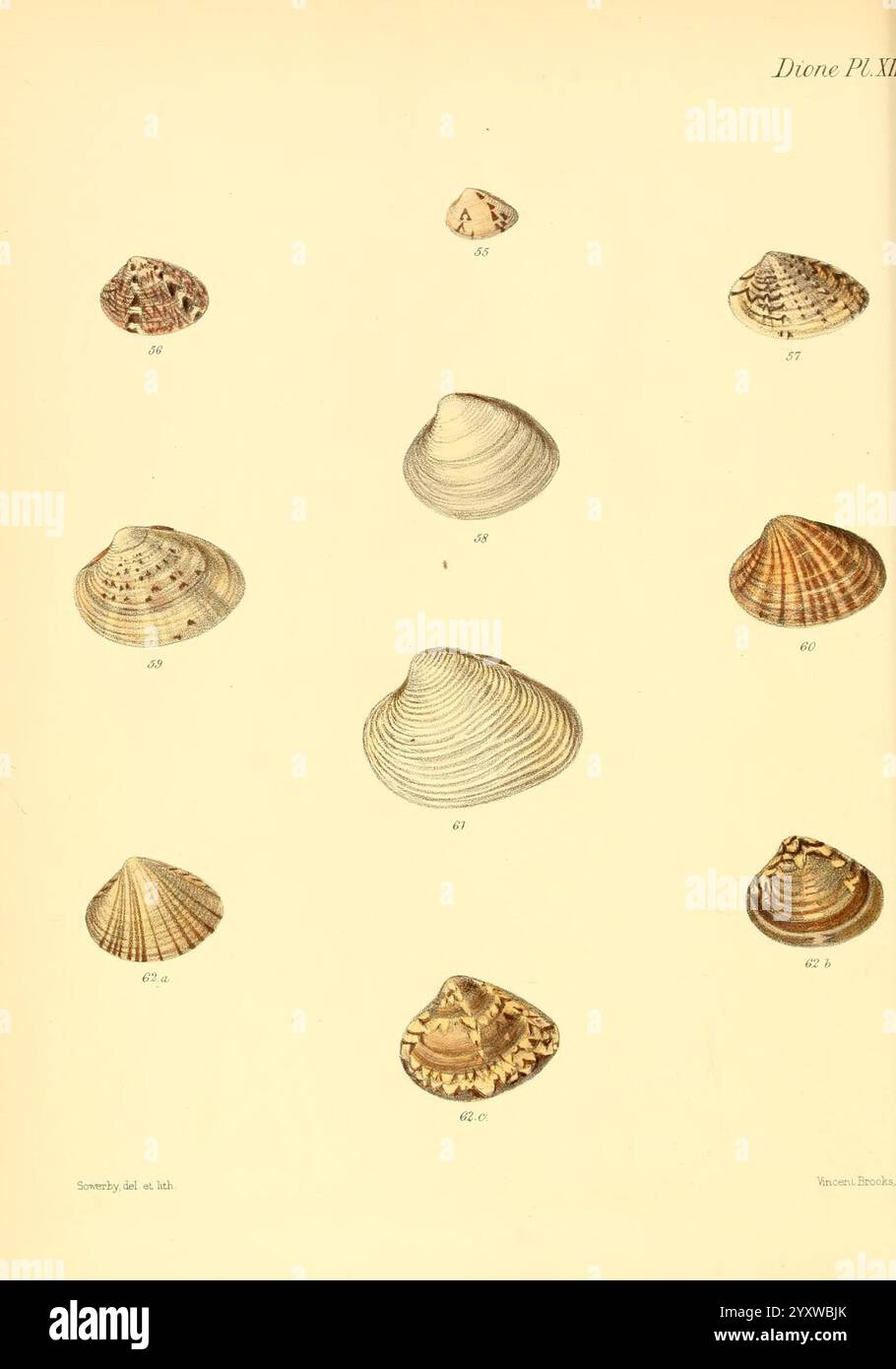 Elongated dimensions hi-res stock photography and images - Alamy