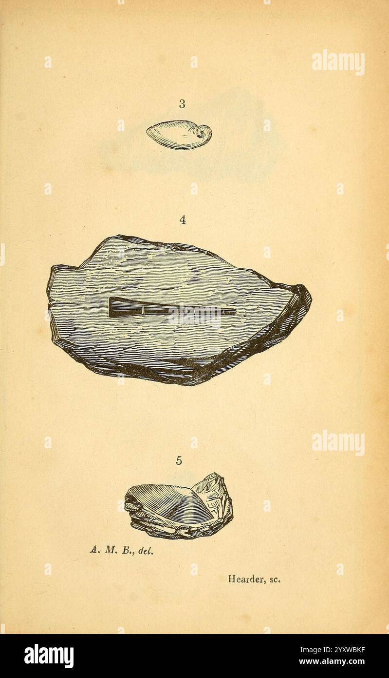 Illustration features three distinct artifacts hi-res stock photography ...