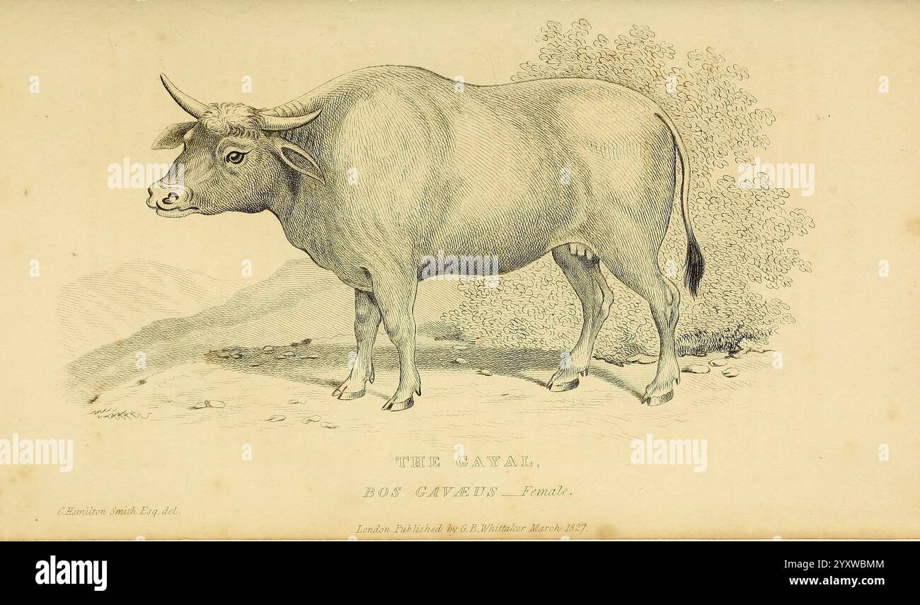 The animal kingdom, London, Printed for G.B. Whittaker, 1827-1835 ...