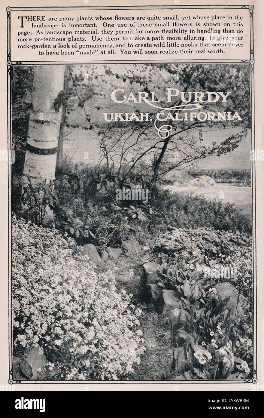 Highlights importan hi-res stock photography and images - Alamy