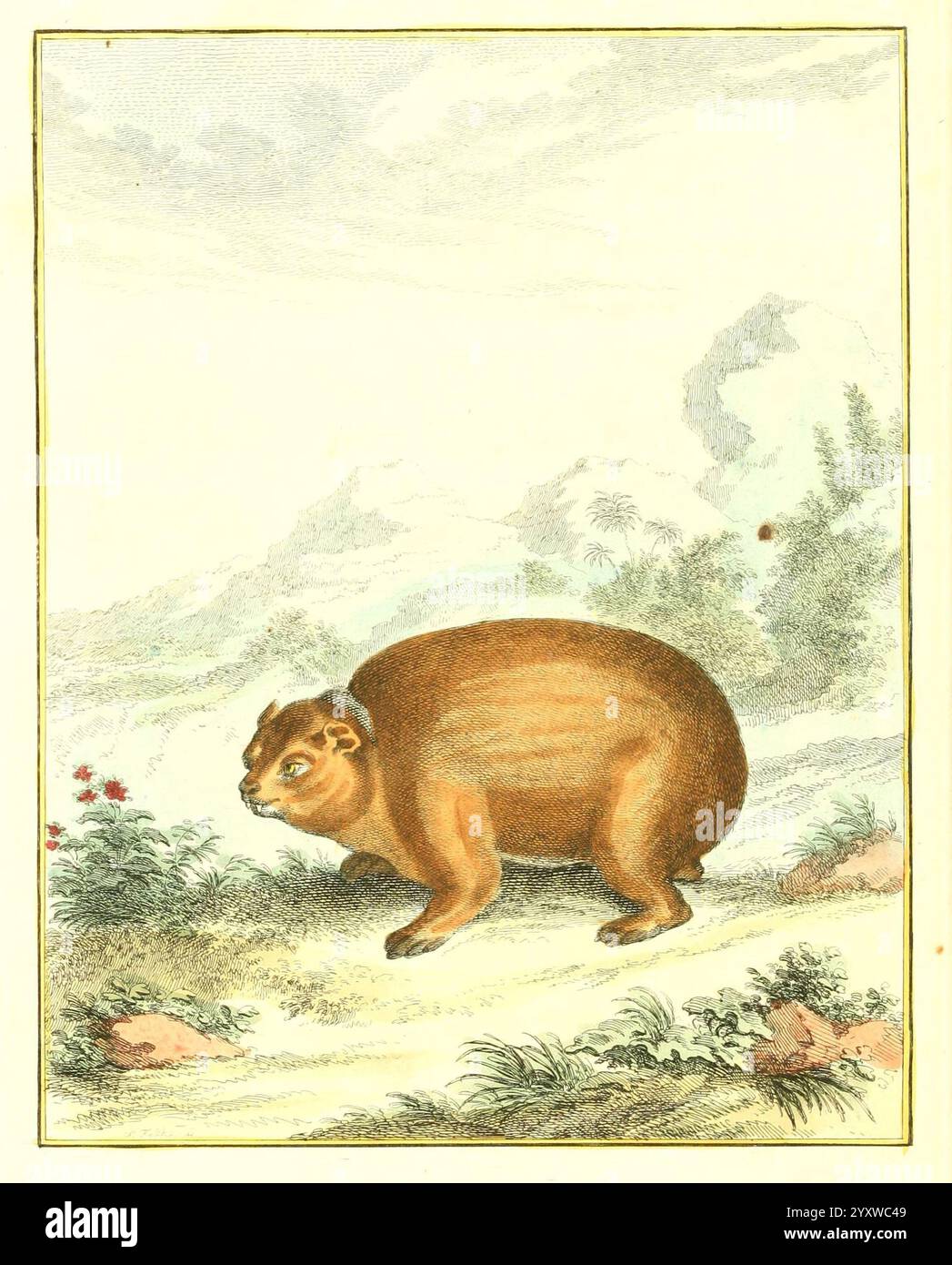 Elegant creature exudes hi-res stock photography and images - Alamy