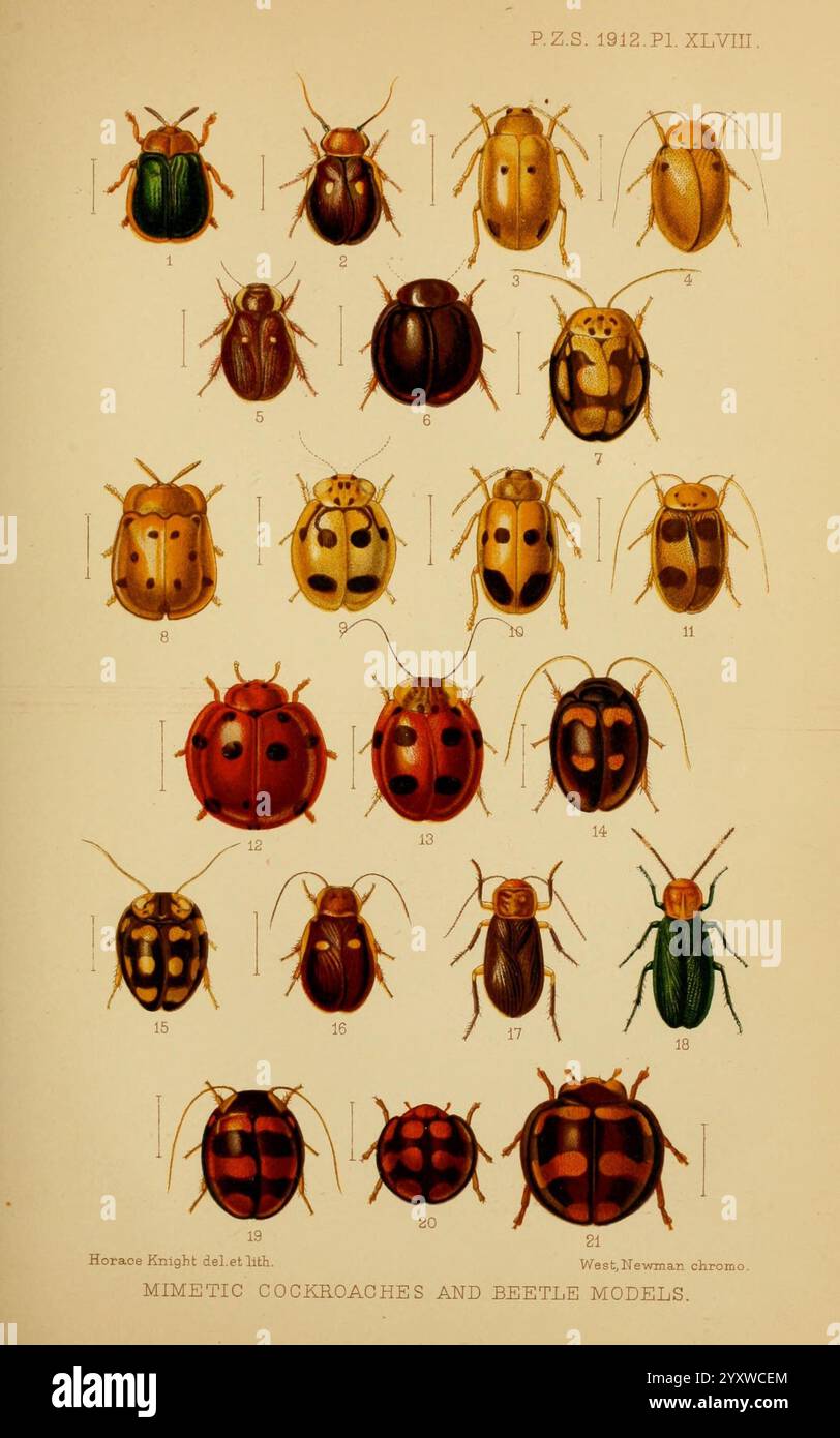 Varying combinations hi-res stock photography and images - Alamy