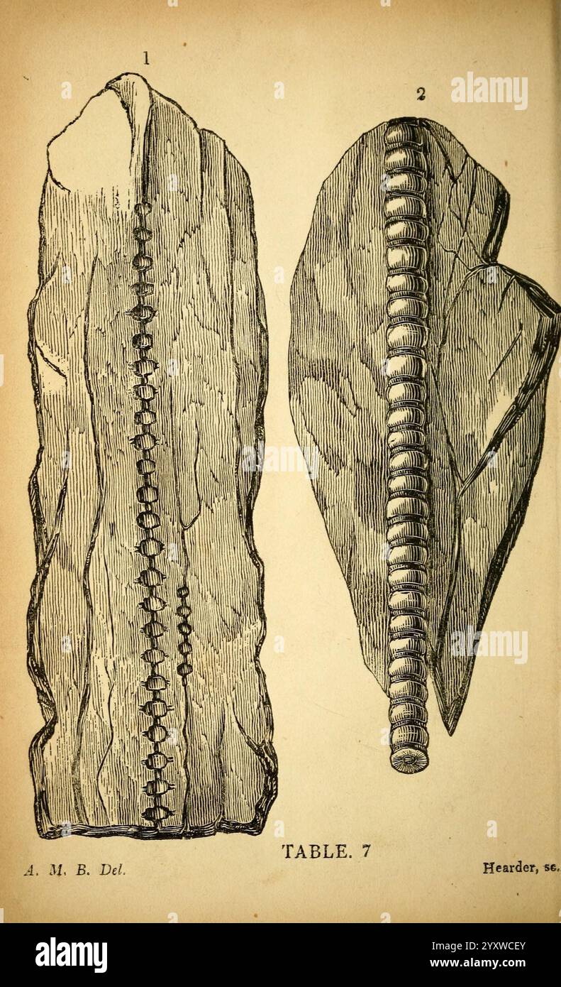 Image displays two distinct artifacts hi-res stock photography and ...