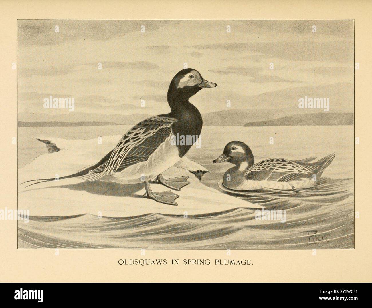 Subtle sky transitioning hi-res stock photography and images - Alamy