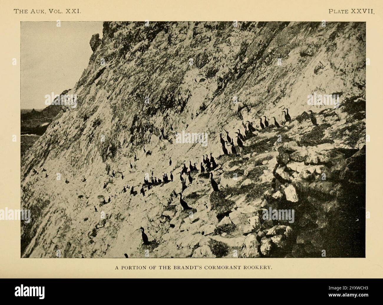 Human exploration amidst natures impressive backdrop hi-res stock ...