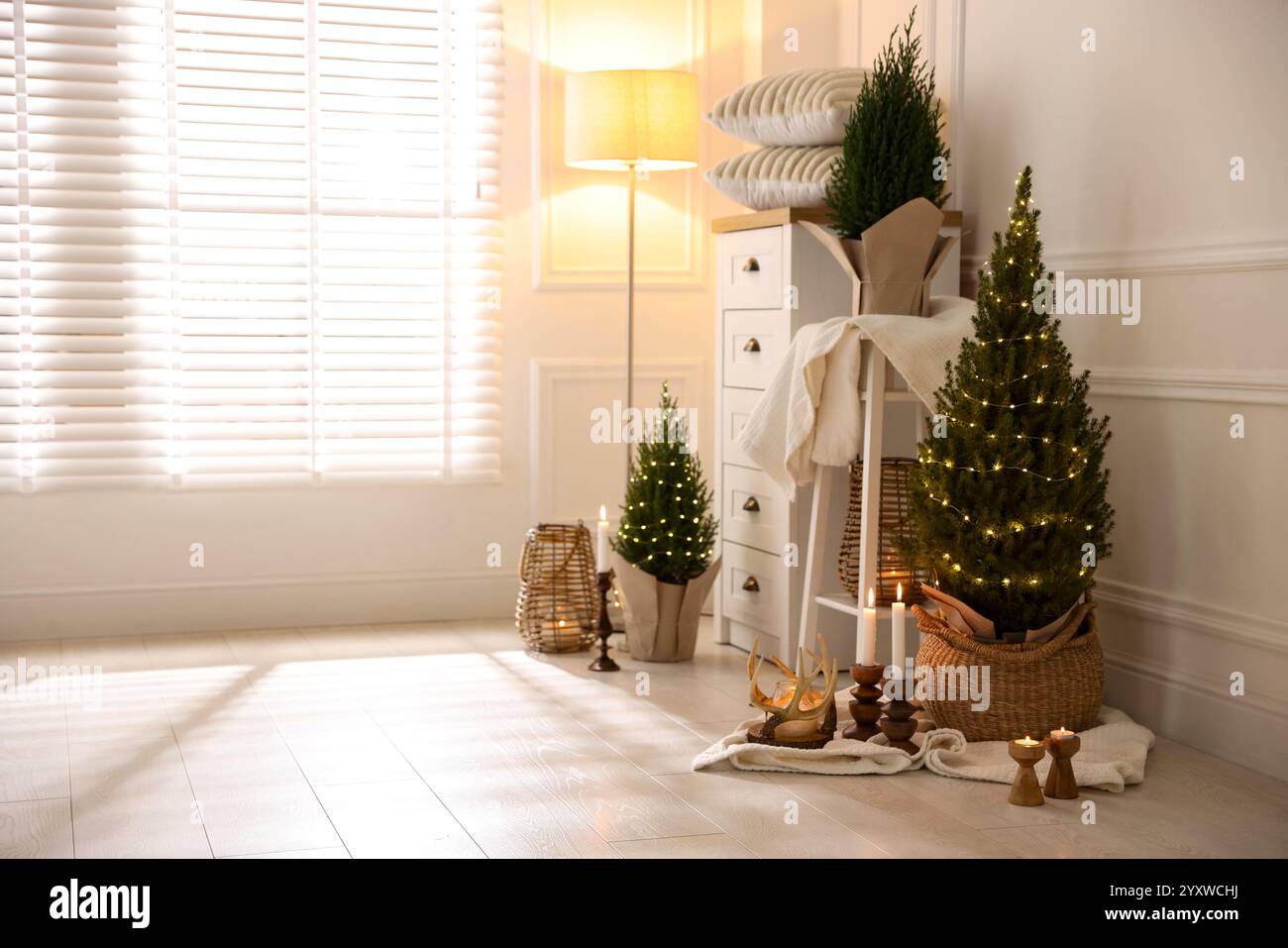 Small spruce trees with Christmas lights and other decor indoors. Space ...