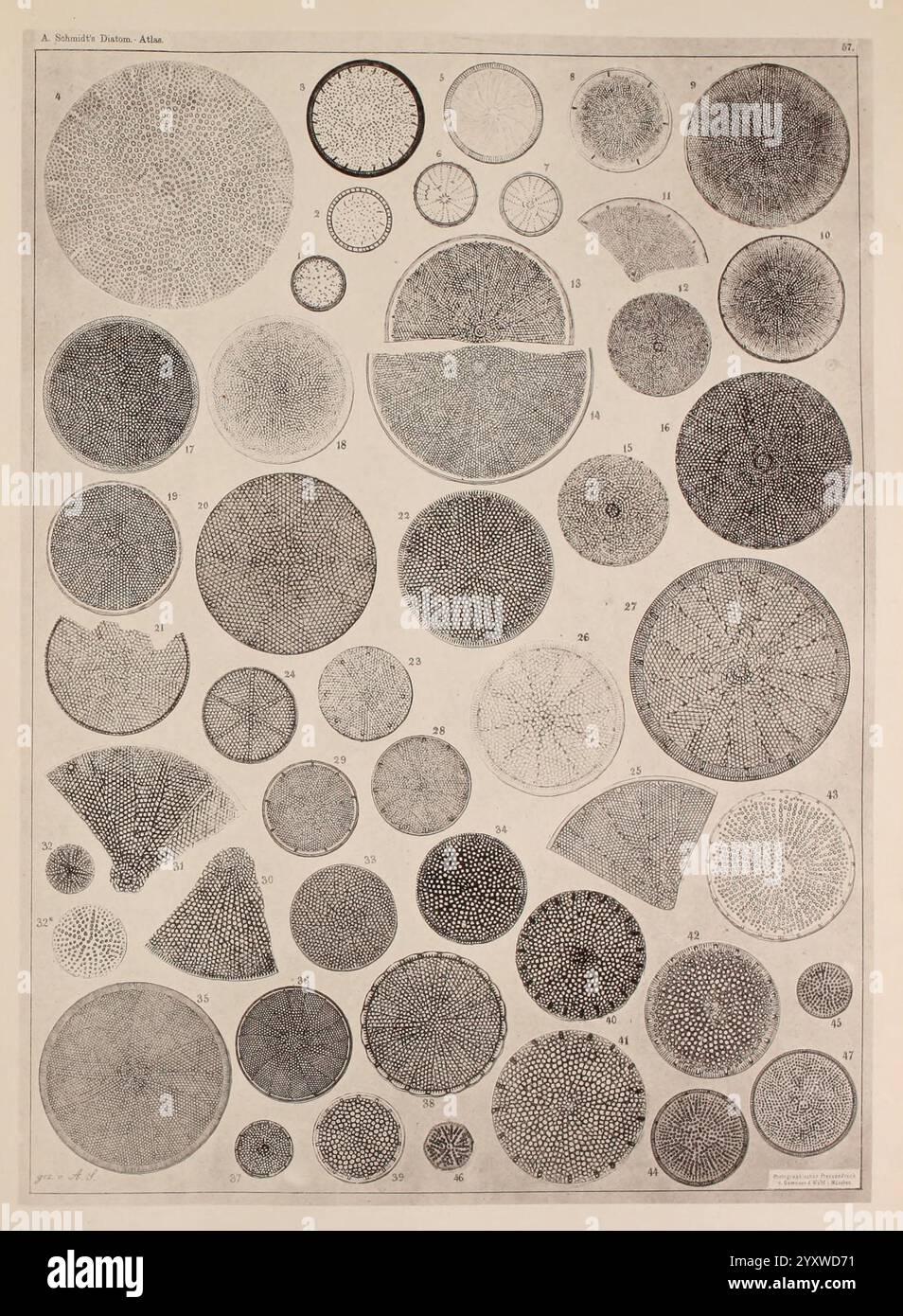 Mesmerizing visual display of symmetry hi-res stock photography and ...