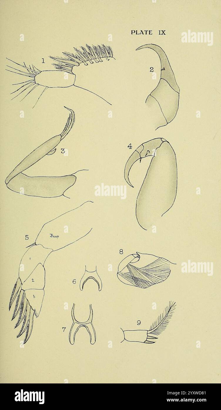 Comprehensive biological study hi-res stock photography and images - Alamy