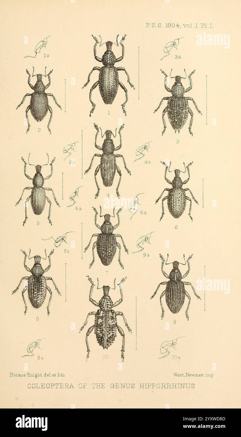 Proceedings of the Zoological Society of London, London, Academic Press ...