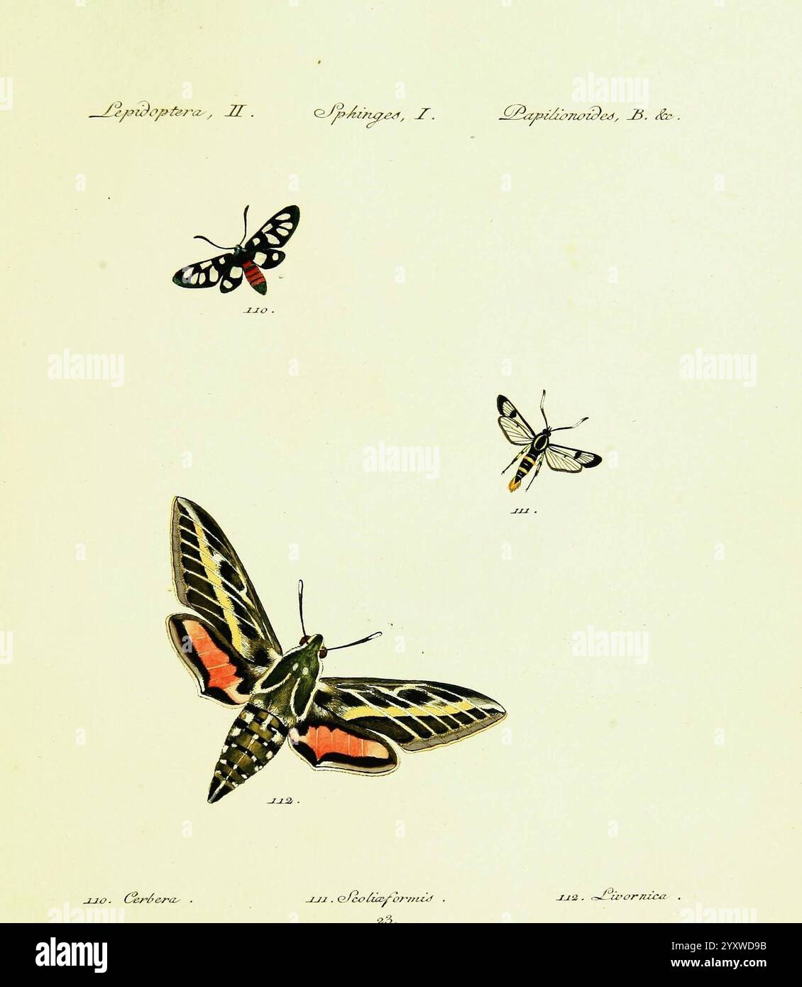 Handwritten label provides hi-res stock photography and images - Alamy