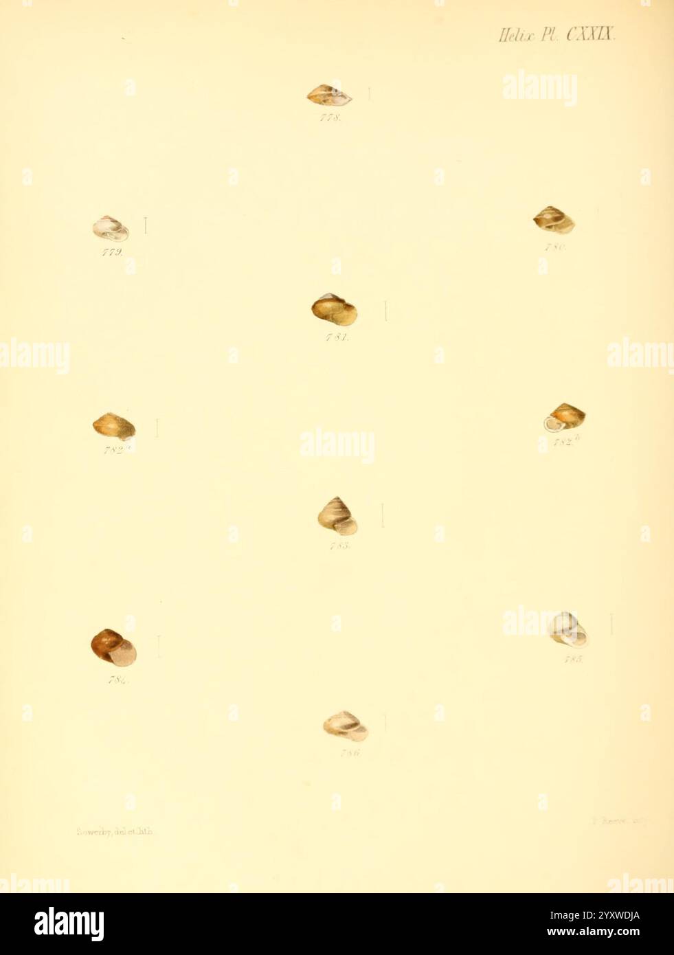 Systematic grid layout hi-res stock photography and images - Alamy