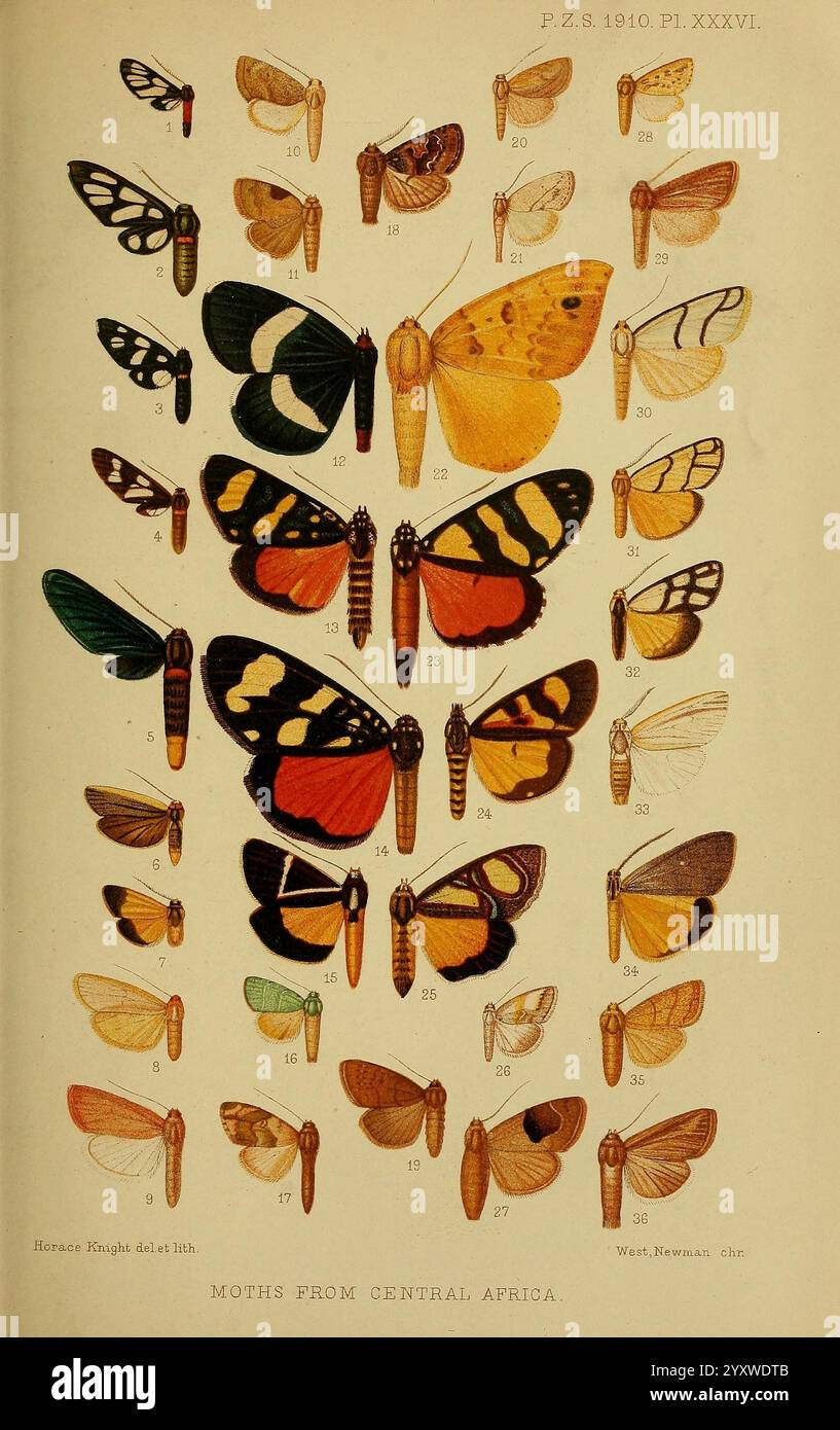 Proceedings of the Zoological Society of London, London, Academic Press ...