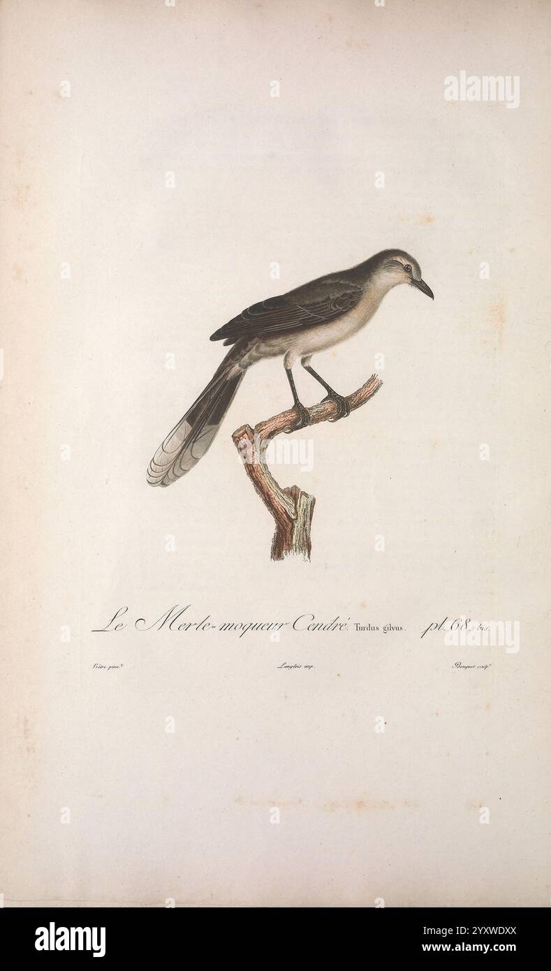 French text identifies hi-res stock photography and images - Alamy