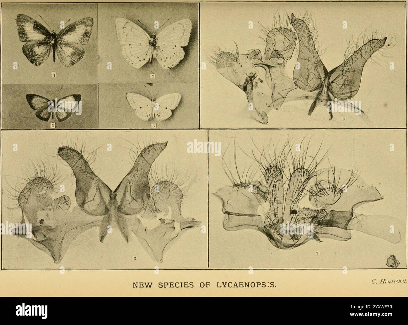 Lower half exhibits hi-res stock photography and images - Alamy