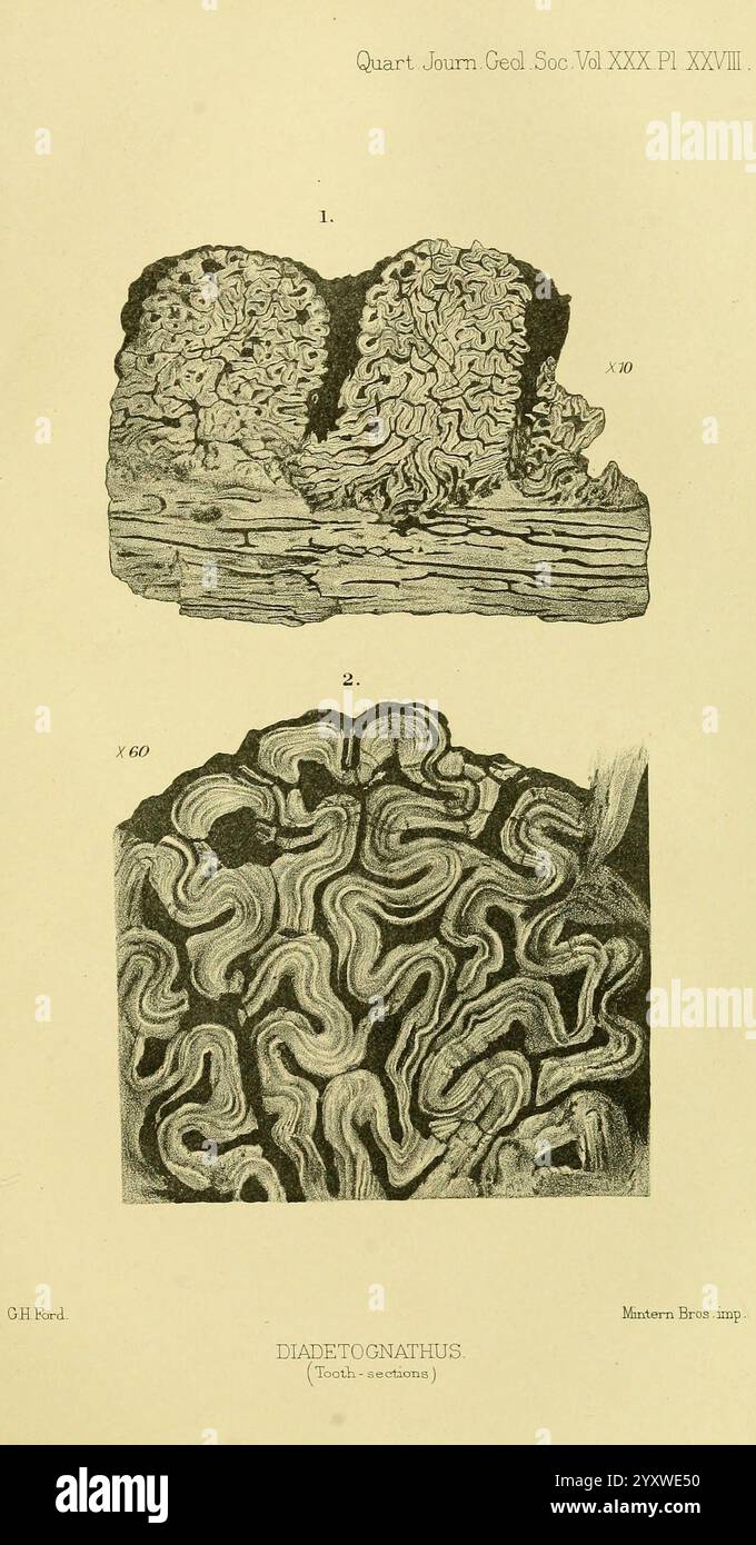 Prominent horizontal striations hi-res stock photography and images - Alamy
