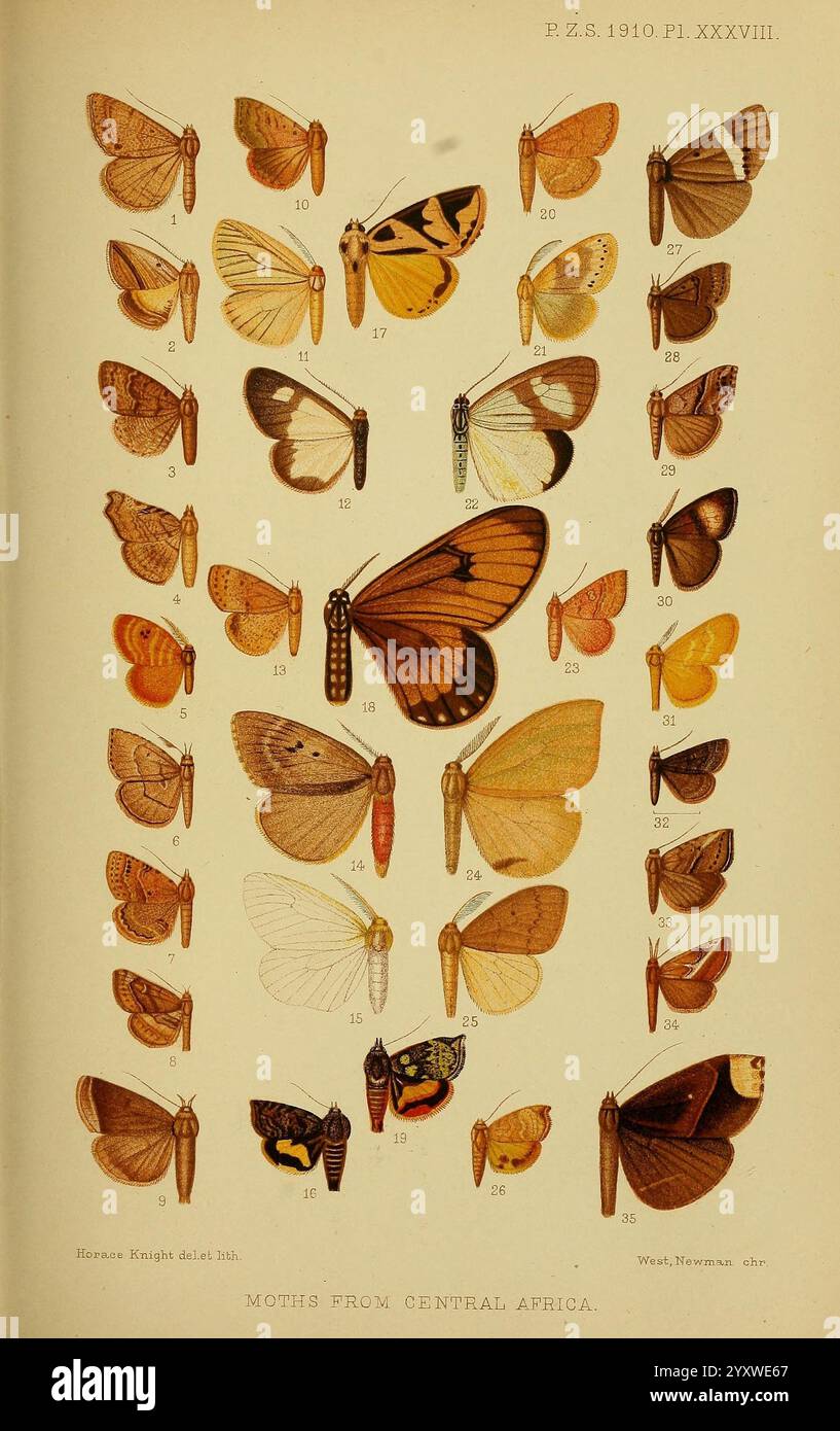 Proceedings of the Zoological Society of London, London, Academic Press ...