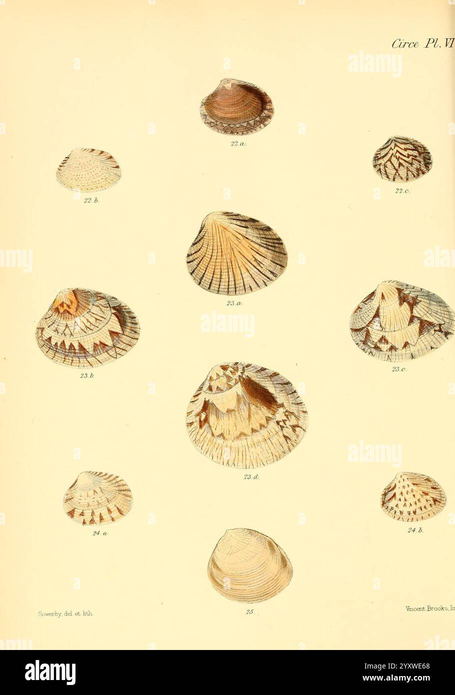 Indicating specific types hi-res stock photography and images - Alamy