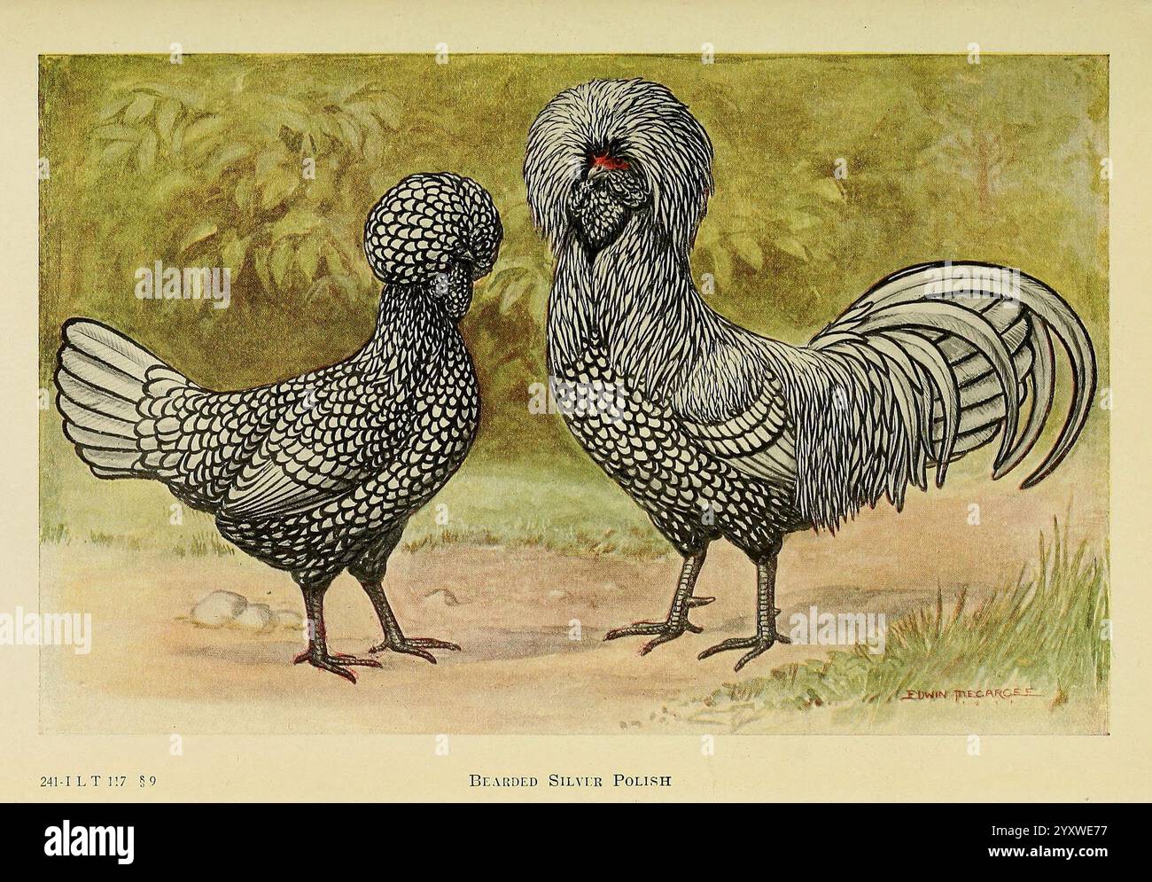 The book of poultry New York, The Macmillan Company, 1921. Poultry ...