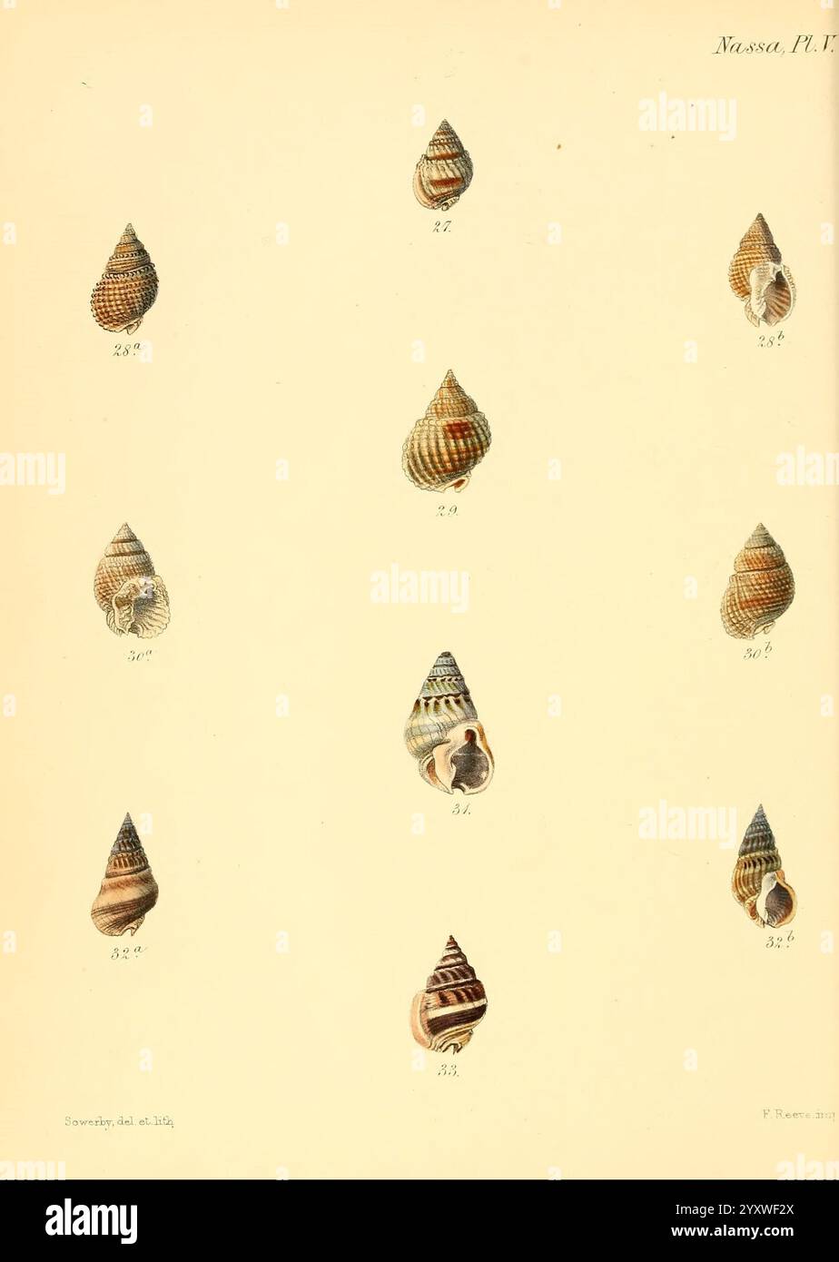 Specific identification number hi-res stock photography and images - Alamy