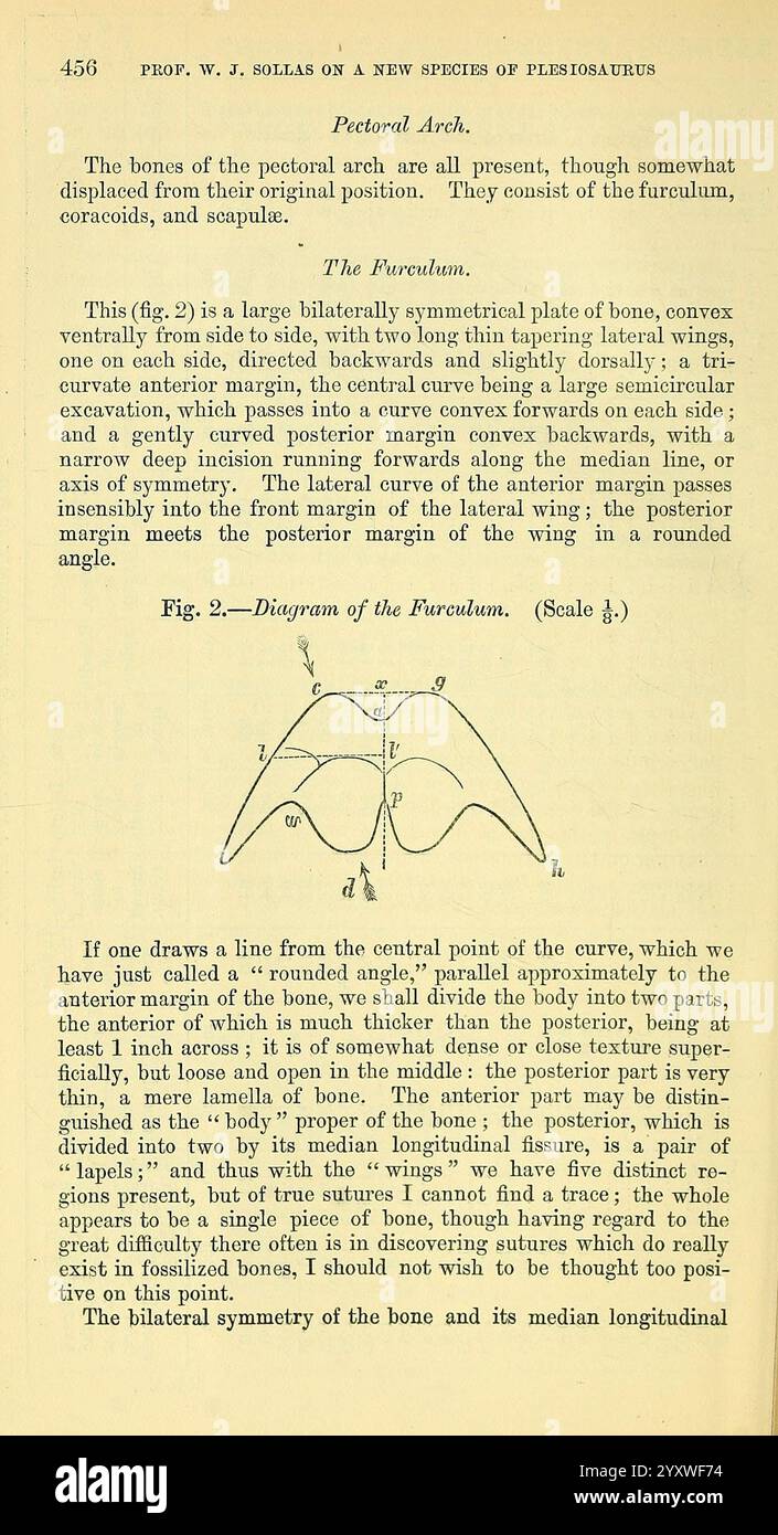 The Quarterly Journal of the Geological Society of London, v. 37 (1881 ...