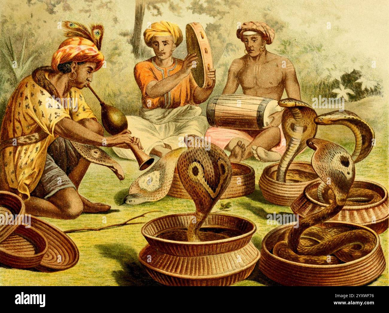 Brehms Tierleben. Leipzig, Bibliographisches Institut, 1911-19, zoology, animal behavior, The ...