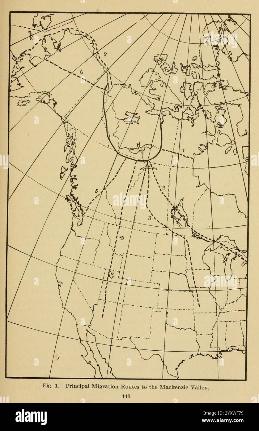 Principal migration routes hi-res stock photography and images - Alamy