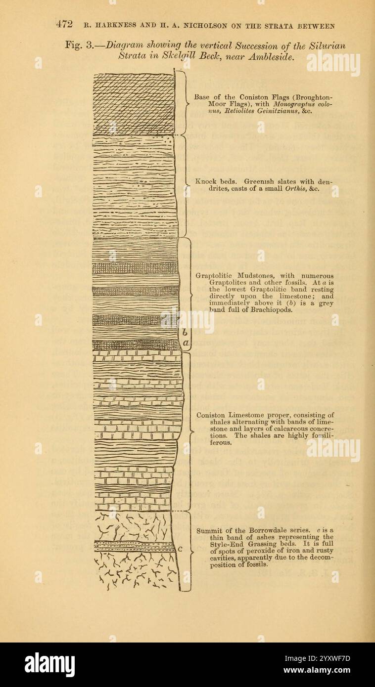 Geological diagram illustrating hi-res stock photography and images - Alamy