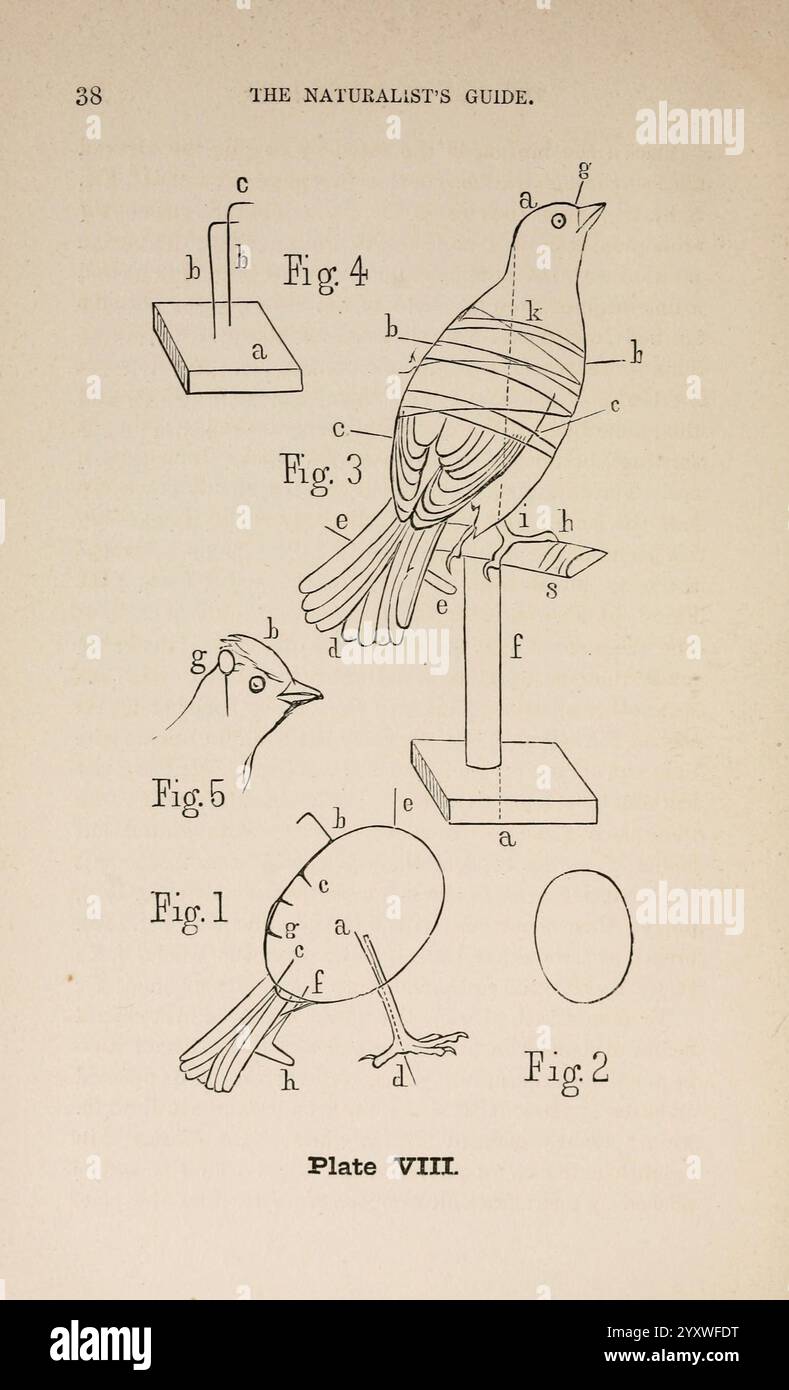 Illustrating additional angles hi-res stock photography and images - Alamy