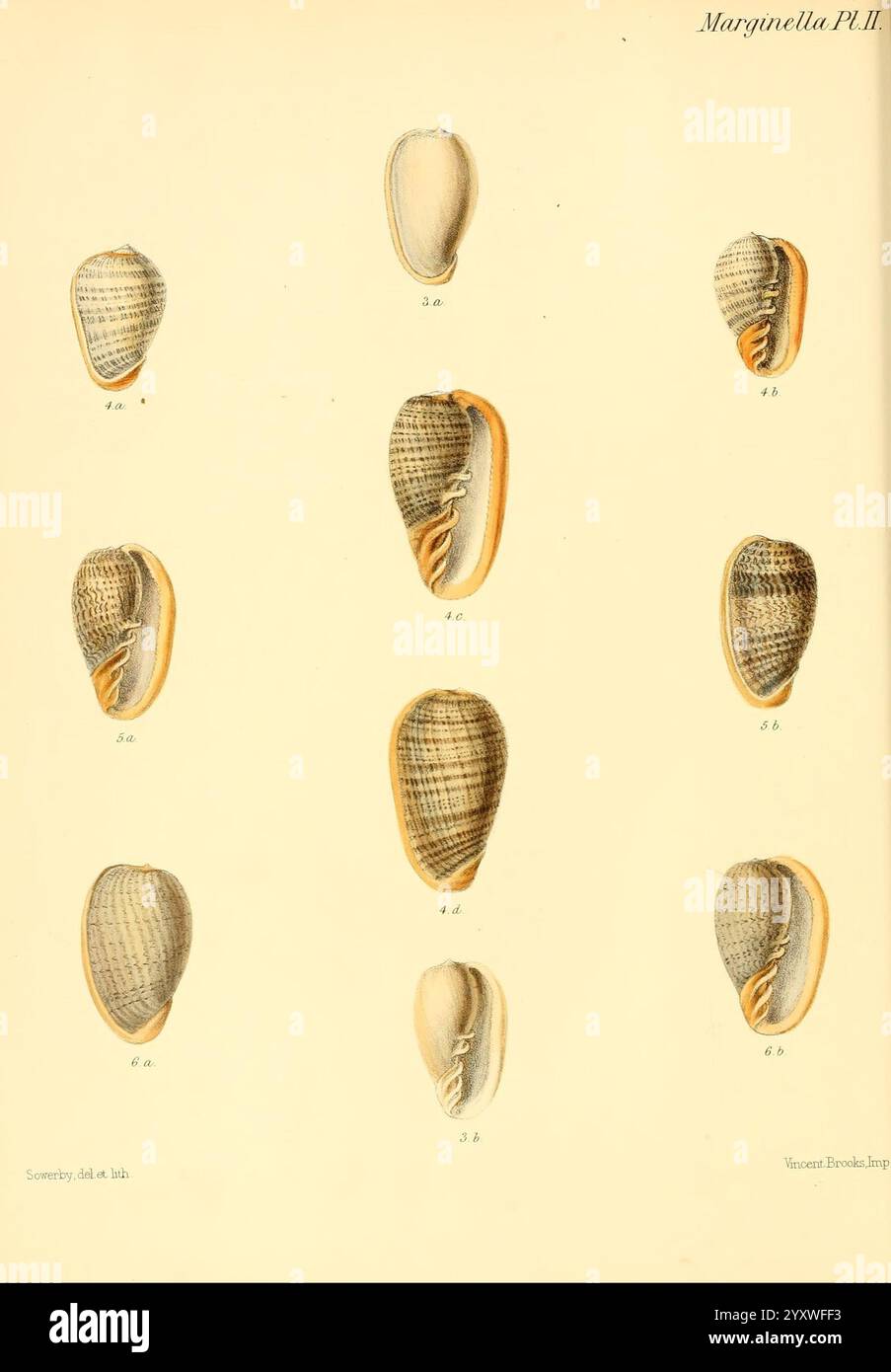 Designation indicating hi-res stock photography and images - Alamy