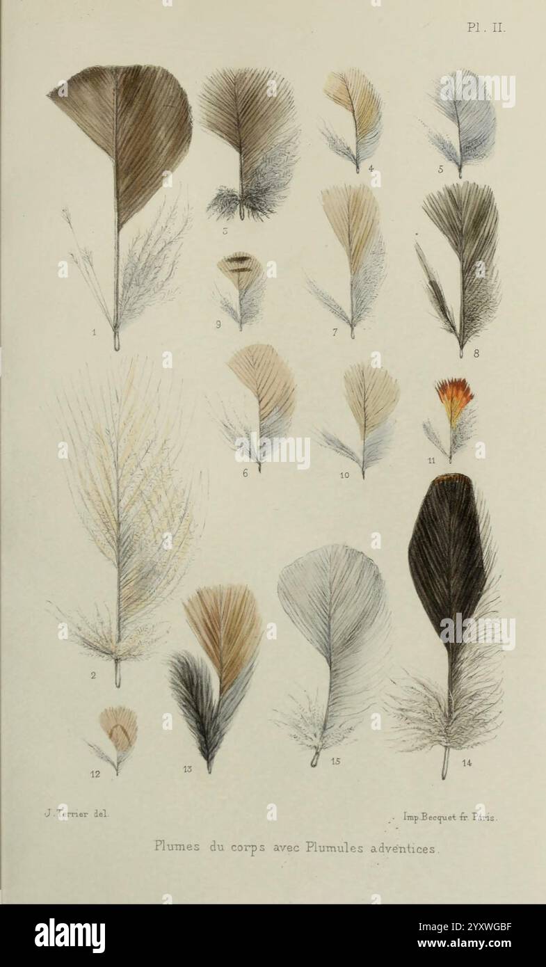 First column features hi-res stock photography and images - Alamy