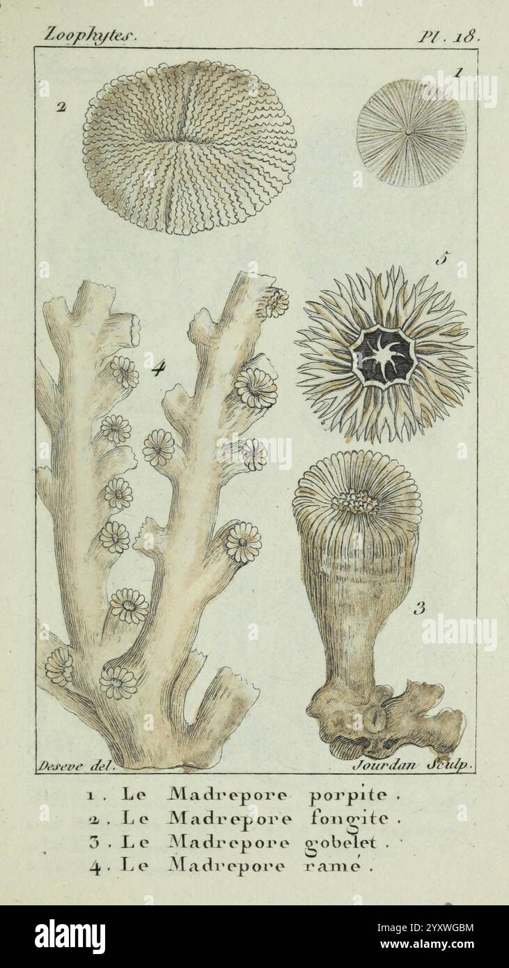 Tubular configuration exhibits hi-res stock photography and images - Alamy