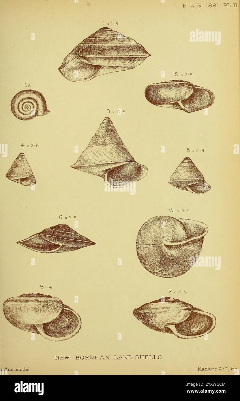 Geographic inquiry hi-res stock photography and images - Alamy