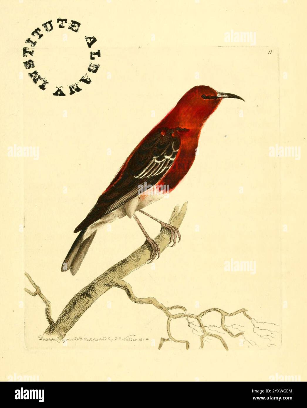 Streamlined shape rests hi-res stock photography and images - Alamy