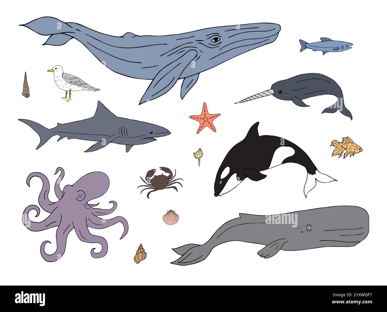 Vector set bundle of colored hand drawn doodle sketch sea animals and ...