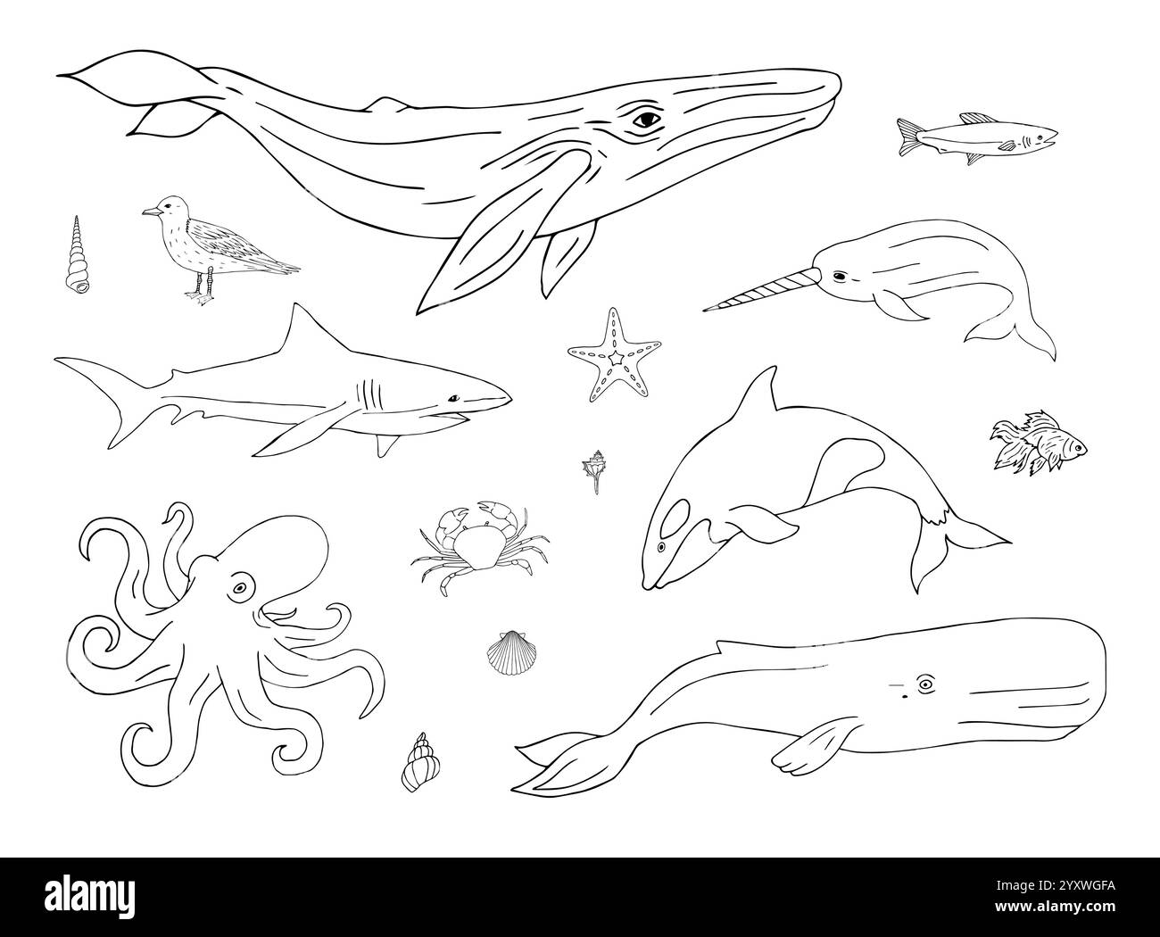 Vector set bundle of hand drawn doodle sketch sea animals and fish ...