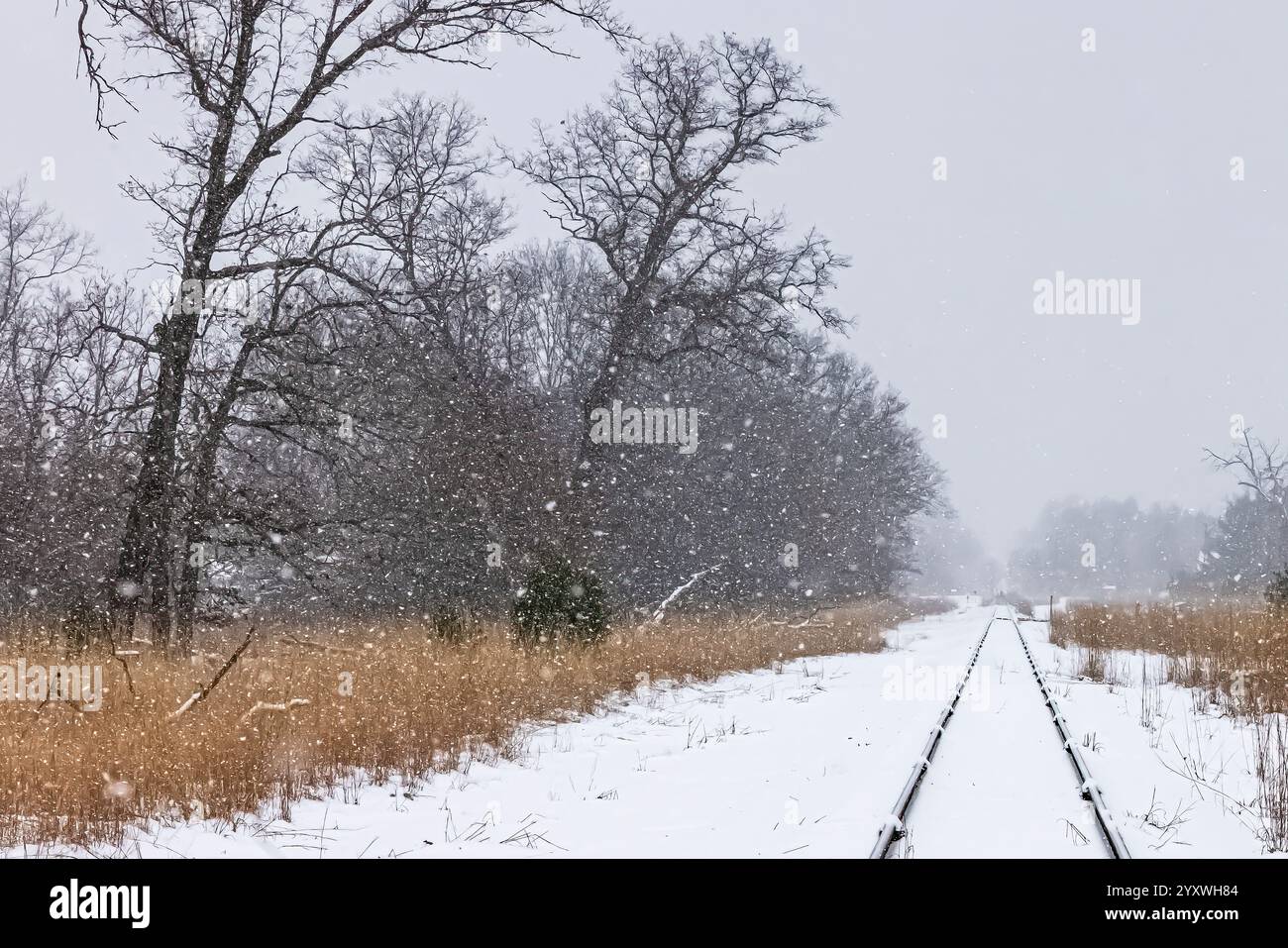 Tracks of Marquette Railroad in Baldwin, Michigan, USA [No release ...