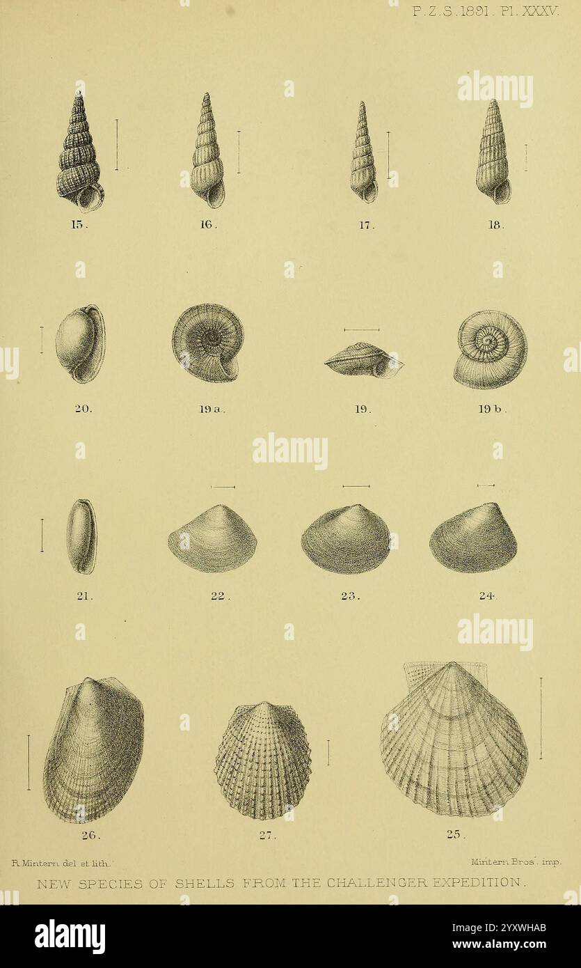 Cataloged classification hi-res stock photography and images - Alamy