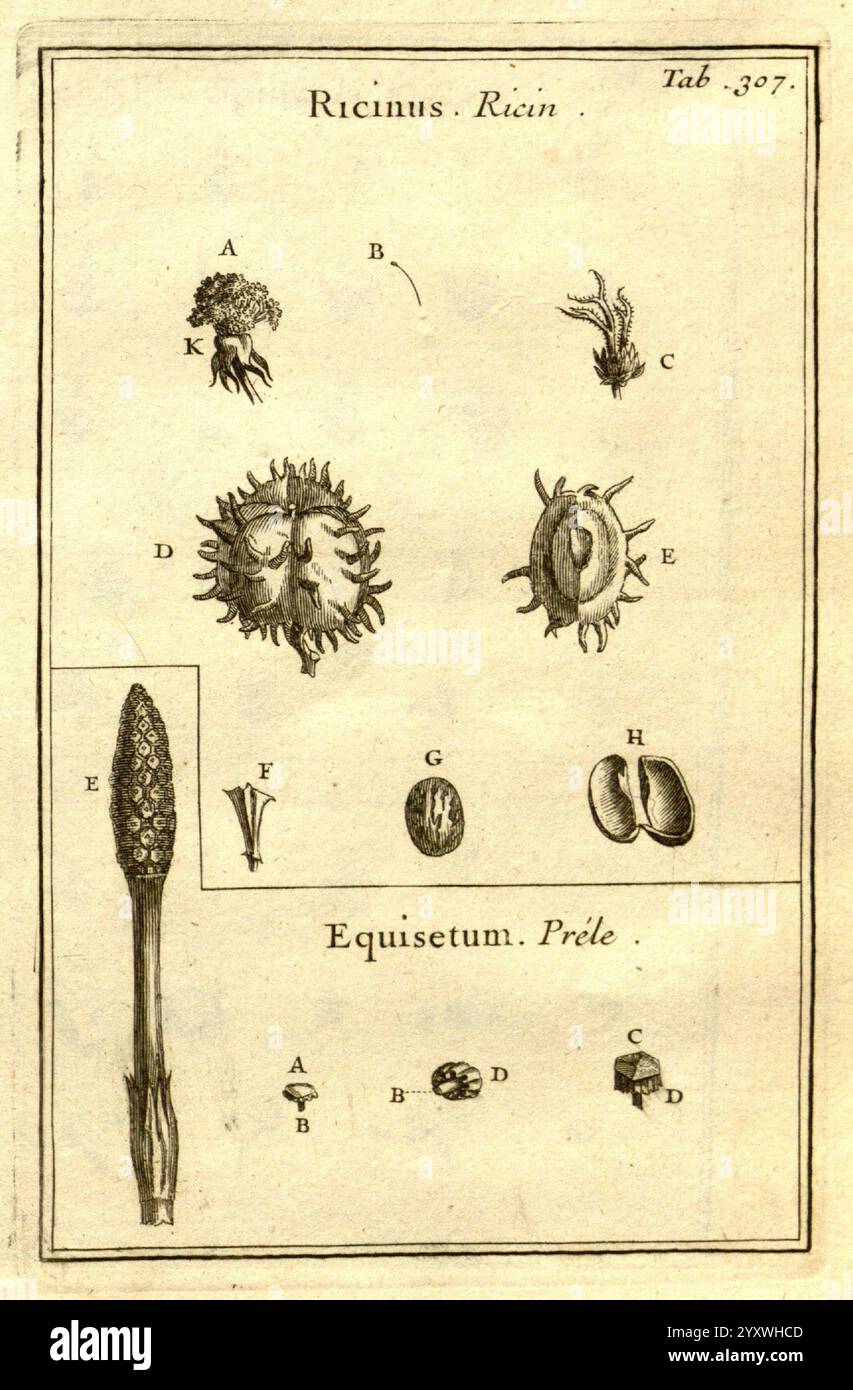 Identify specific parts hi-res stock photography and images - Alamy