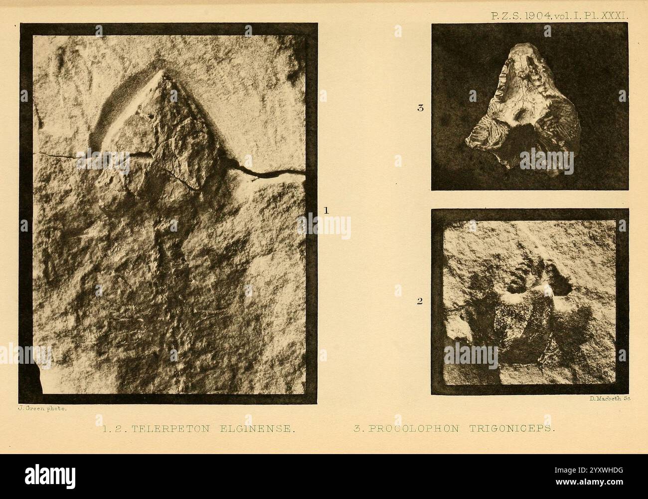 Indicating natural erosion hi-res stock photography and images - Alamy