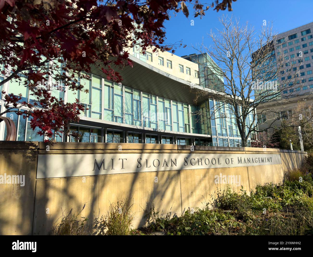Mit sloan school hi-res stock photography and images - Alamy