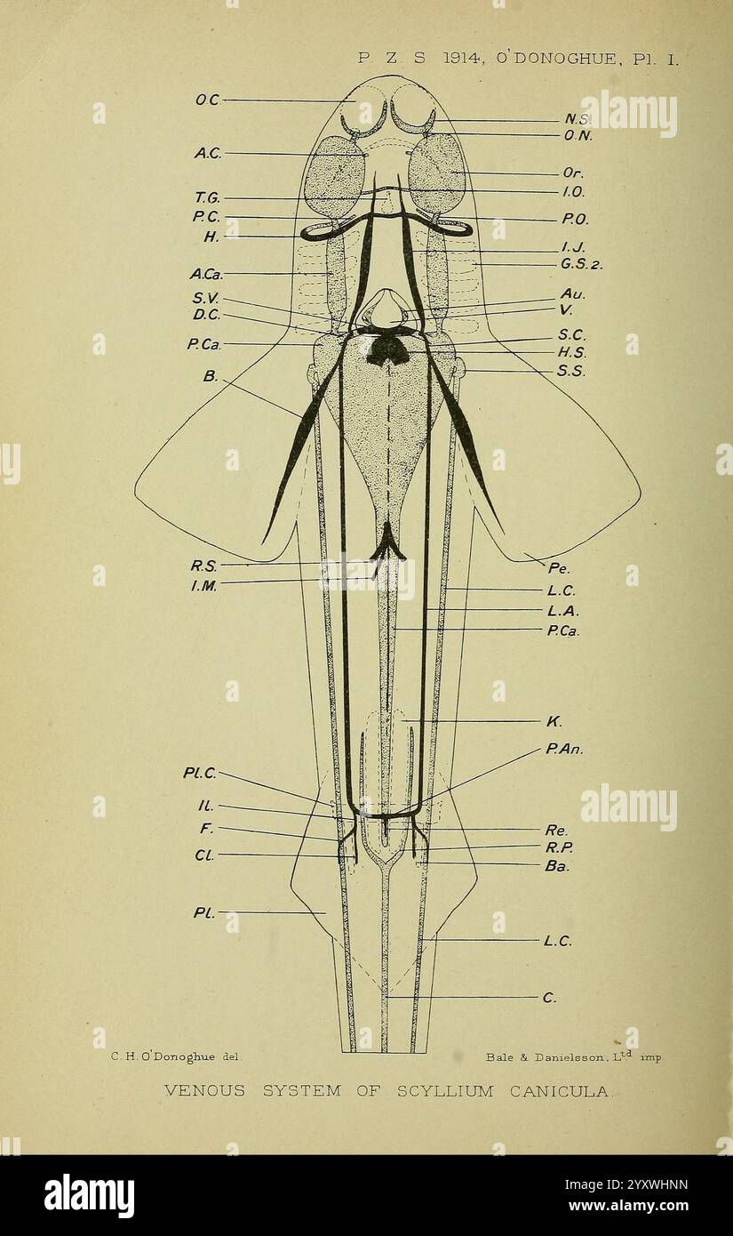 Proceedings of the Zoological Society of London, London, Academic Press ...