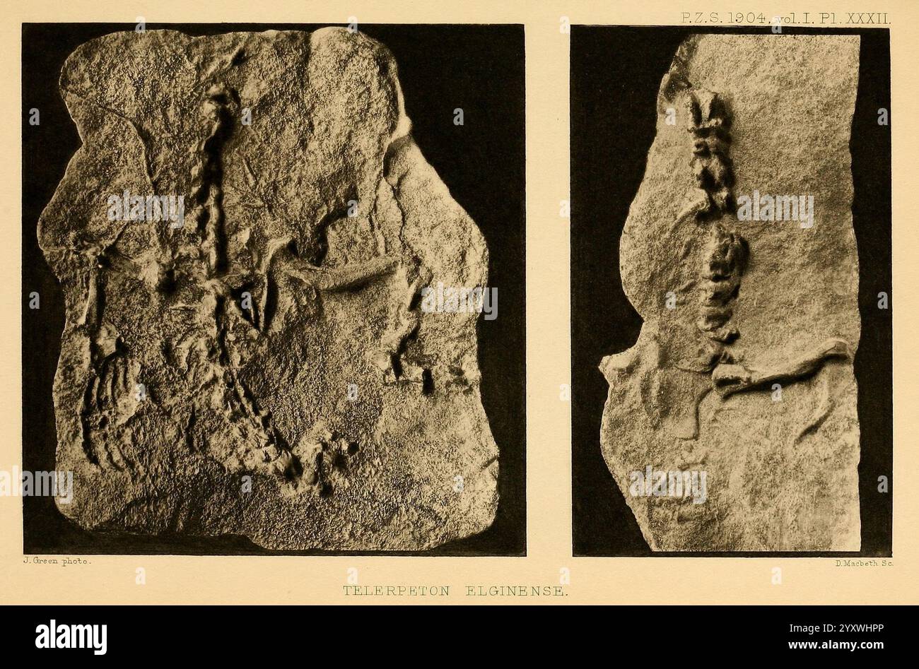 Various indentations hi-res stock photography and images - Alamy