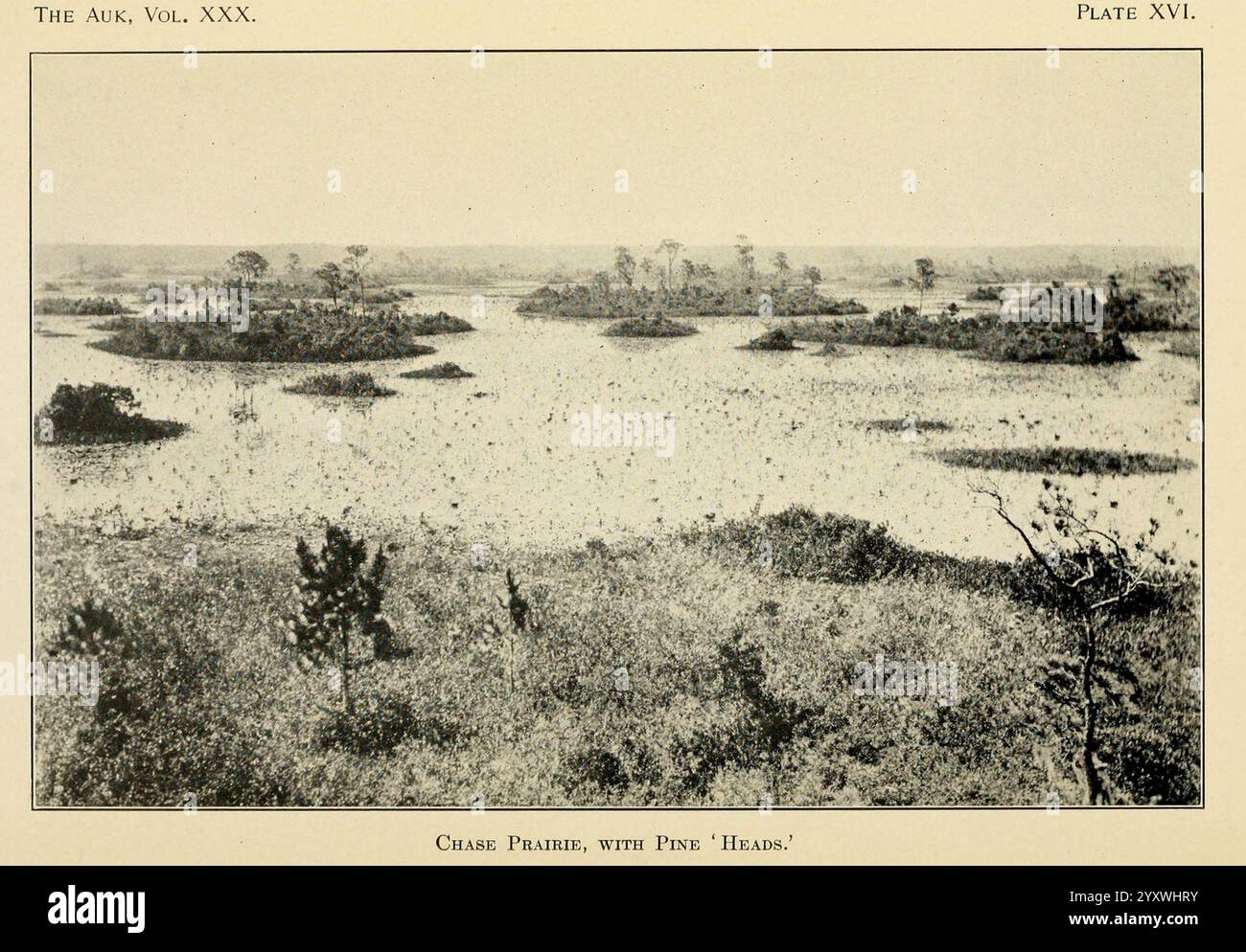 Scattered masses hi-res stock photography and images - Alamy