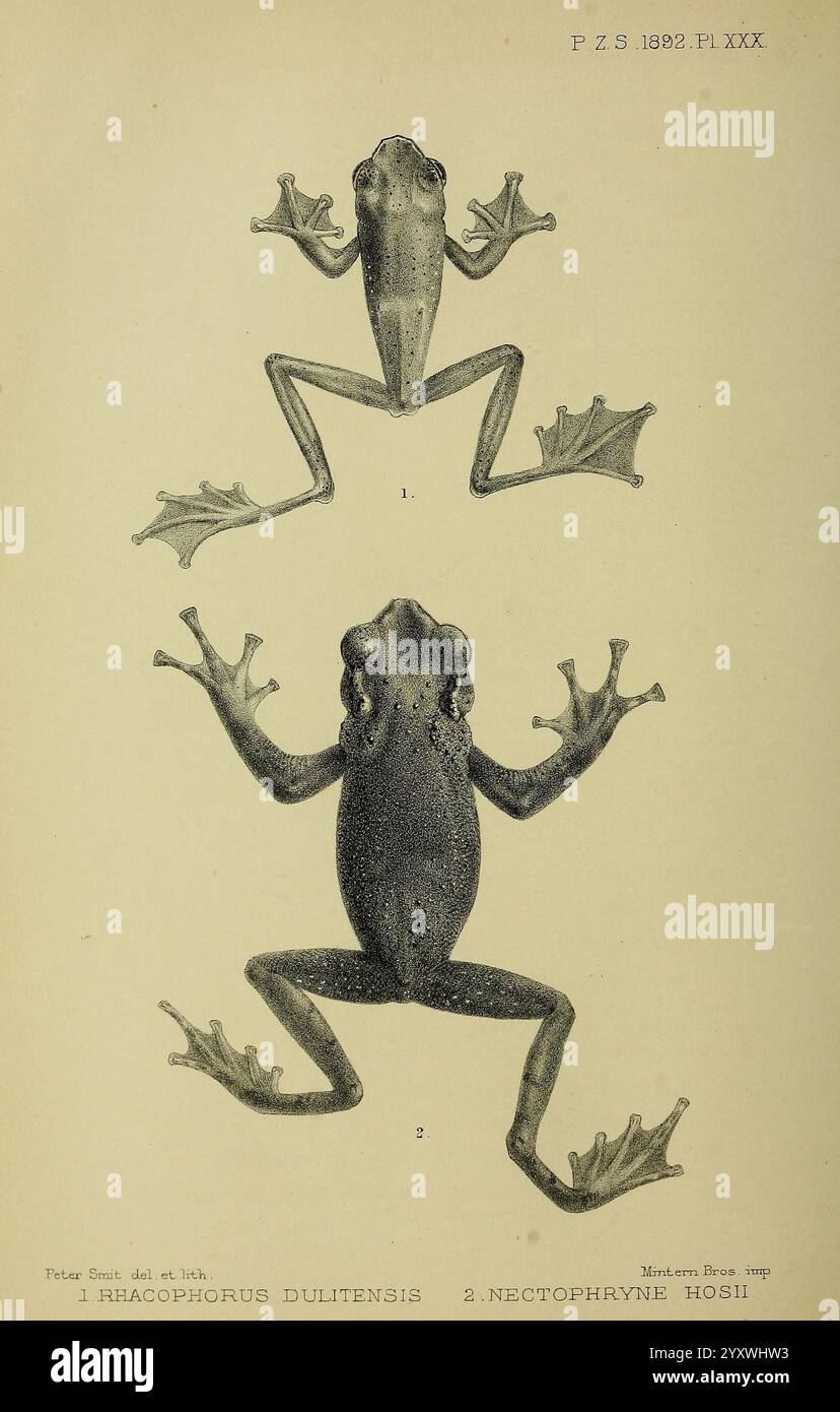 Proceedings of the Zoological Society of London, London, Academic Press ...